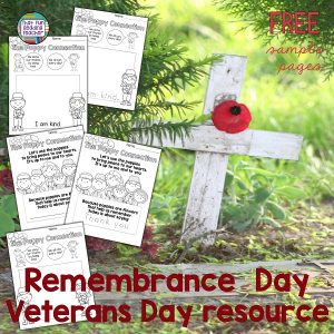 Remembrance Day and Veterans Day - Giving children a way to relate ...